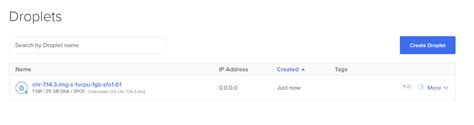 Configure Mikrotik Cloud Host Routerchr As Vpn Nat Gateway On Digitalocean Digitalocean