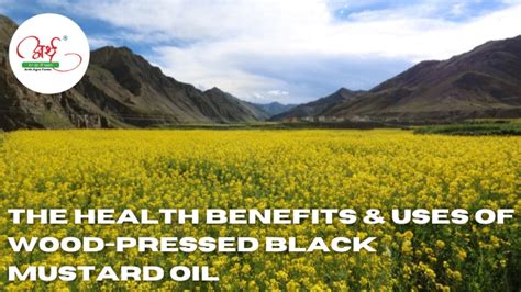 Wood Pressed Black Mustard Oil Benefits Uses And Why Its A Superfood