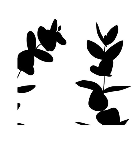 Eucalyptus Svg Eucalyptus Bundle Eucalyptus Svg Clipart Eucalyptus