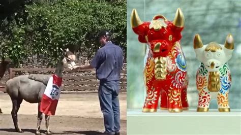 Perú Es Furor En Corea Del Sur El País Andino Conquista A Los