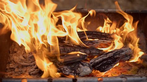 Can You Burn Wet Wood In A Fire Pit At Ida Barrera Blog