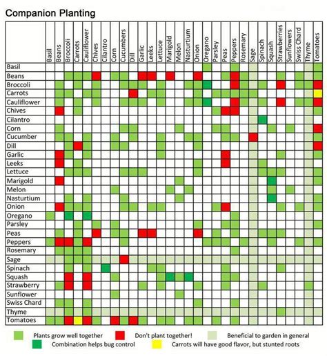 The Ultimate Garlic Companion Planting Chart One Wayback