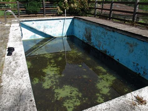 Nuevo Proyecto De Contribución A La Conservación De Los Anfibios Facilitando Su Reproducción