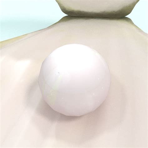 조개 3d 모델 30 Obj Unknown Fbx Blend Free3d