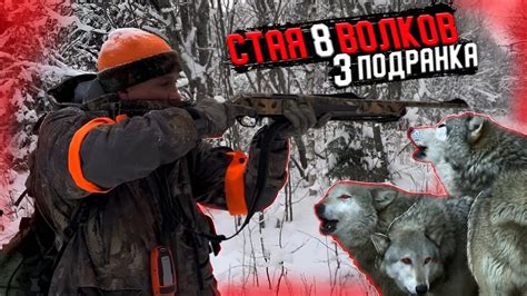 Стая волков Три подранка Youtube