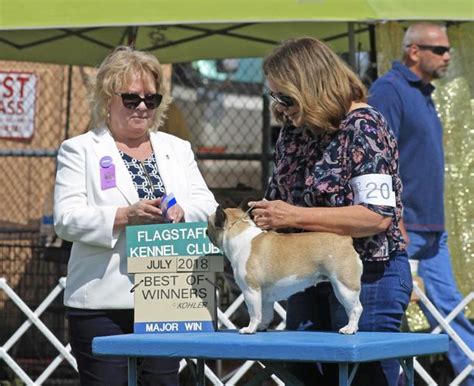 Flagstaff Kennel Club Show Photo Galleries