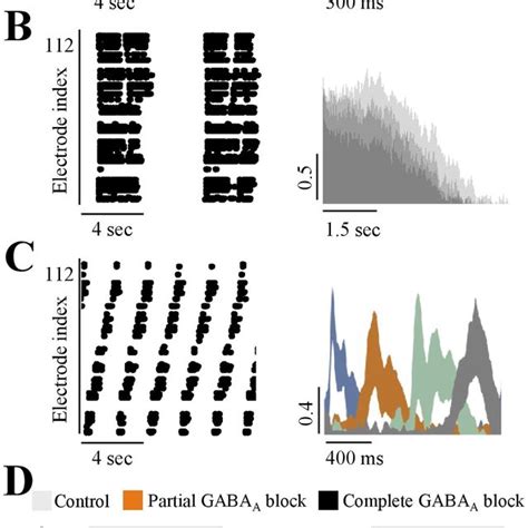 Manipulating Characteristic Length Scale By Disinhibition A Left