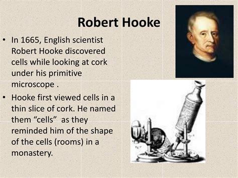 Ppt The Cell Theory Powerpoint Presentation Free Download Id6446199