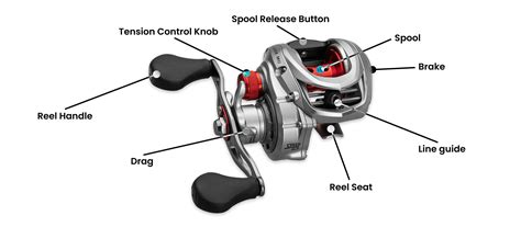 Baitcast Reel Diagram