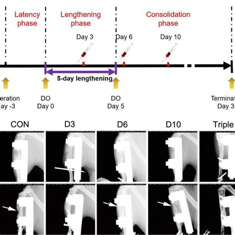 Haixing Wang Postdoc Position Doctor Of Philosophy The Chinese