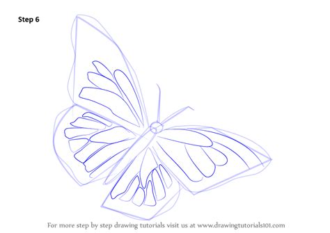 How To Draw A Monarch Butterfly Butterflies Step By Step