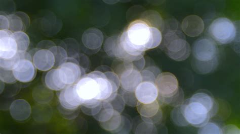 实拍树影虚化散景光晕光斑背景视频实拍素材视频特效素材 千库网
