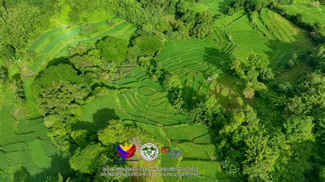 Randolf John Cabrera