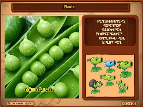 Nhà Ai Cũng 3 đời Cày Plants Vs Zombies Nhưng Chẳng Ai Biết Hết Những