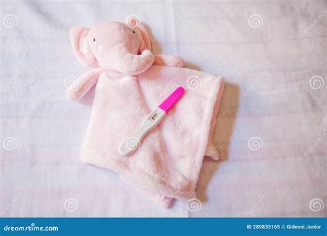 Pregnancy Test In Pink Color Stock Image Image Of Female Holding