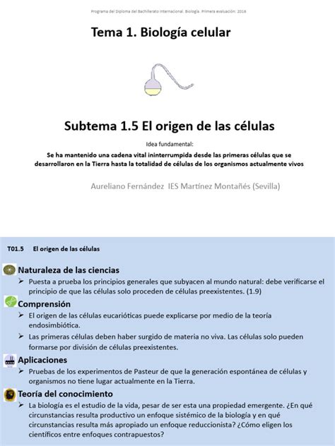 Origen De Las Células Teoría Y Experimentos Pdf Biología