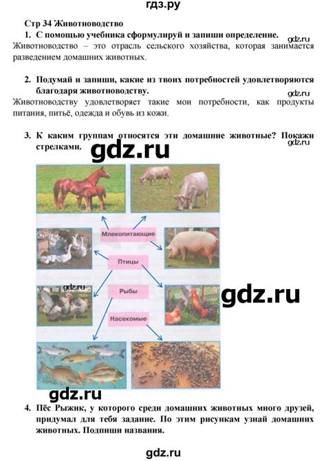 ГДЗ часть 2 (страница) 34 окружающий мир 3 класс рабочая тетрадь Плешаков