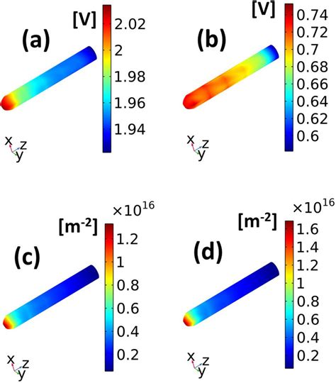 Simulation Results Obtained For The Tmp And The Pore Density Download Scientific Diagram