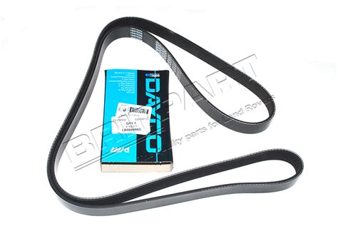 V Belt