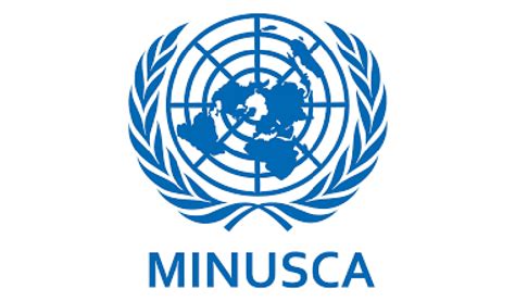 La Minusca Recrute Pour Ce Poste 29 Août 2022 Yop L Frii