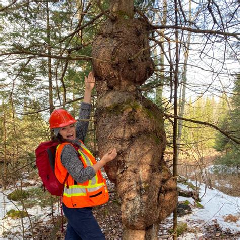 Fleming College On Linkedin Congratulations To Fleming Forestry Technician Graduate Hunter