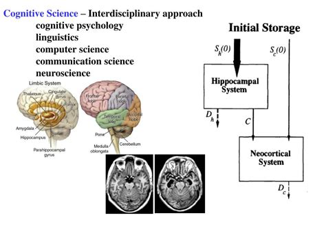 Ppt Cognitive Science Interdisciplinary Approach Cognitive