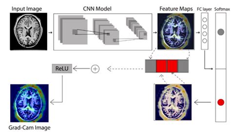 Overview Of Explainable Ai Xai Techniques For Image Based Models