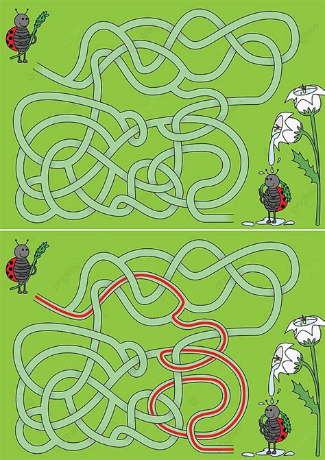 Ladybug Maze Puzzle Composition Maze Vector Puzzle Composition Maze
