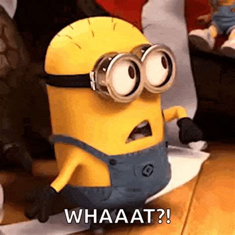 Minion What  Minion What Cute Discover And Share S
