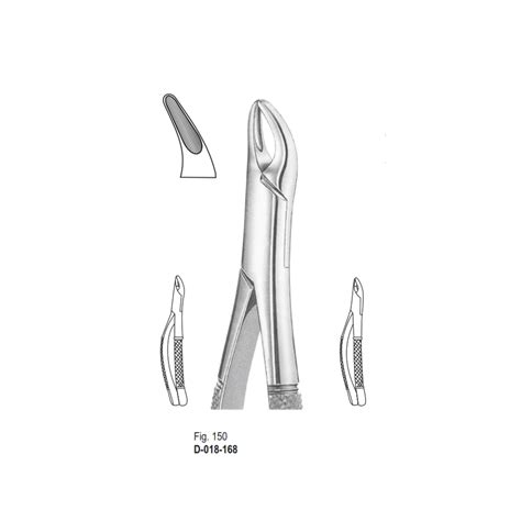 Fórceps 150 Dental Pérez Avilés