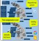 Microscope Drag And Drop Labeling Activity In Slides REMOTE LEARNING