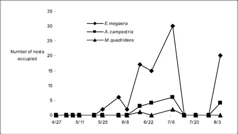 Seasonal Abundance Of Euodynerus Megaera Ancistrocerus Campestris And