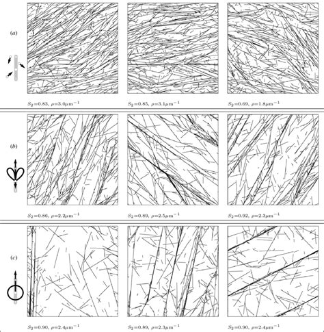 Snapshots Of Different Nucleation Modes Each Line Shows Three