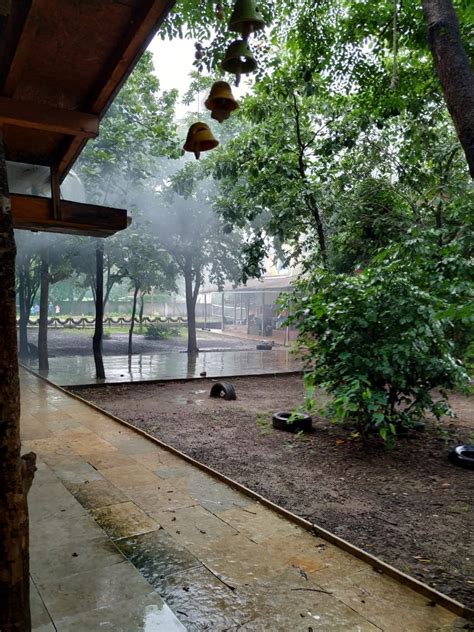 Dlrc Pune On Linkedin Why Do We Celebrate National Science Day In India