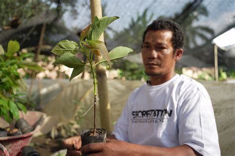 Agroforestry Yayasan Konservasi Pesisir Indonesia