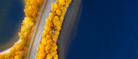 Esos Deadlines And Action Plans In Private Equity Industry