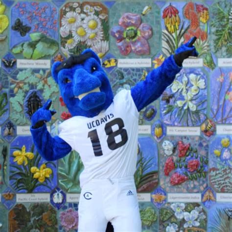Uc Davis Mascot Name