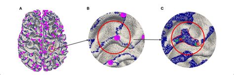 Figure Labeling G Hinges Regions A Extracting G Hinges And D Hinges