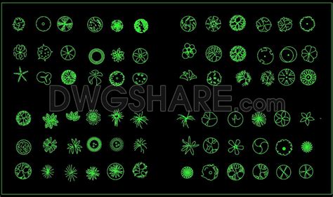 41 Trees Autocad Blocks Free Download