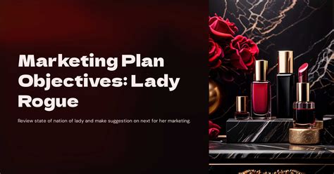 Marketing Plan Objectives Lady Rogue