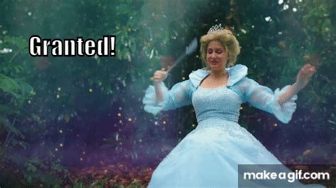 Grants Wish Fairy Godmother On Make A 
