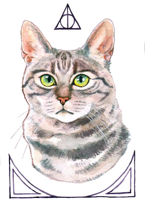 Cat Minerva Mcgonagall