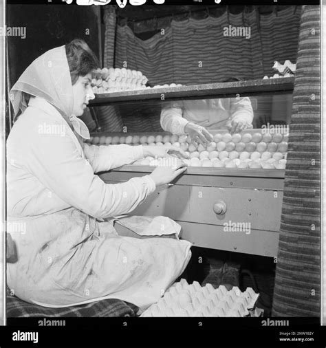 February 12 1965 File Photo In Prerov The Construction Of A