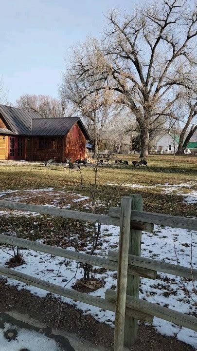 Nancy Pi On Linkedin Wyoming