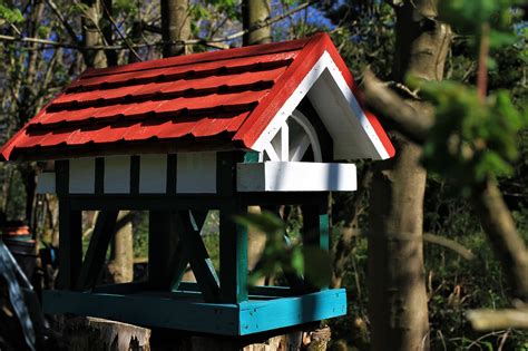 Casa De Passarinho Local Foto Gratuita No Pixabay Pixabay