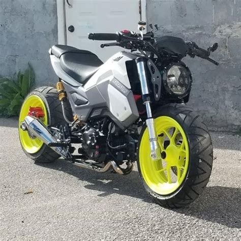 Honda Grom Custom