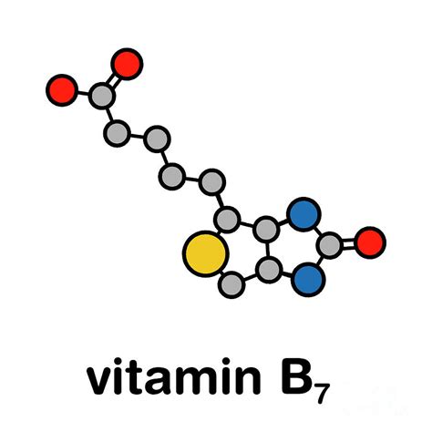 Vitamin B7 Structure