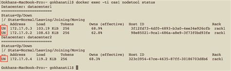 Build A Cassandra Cluster On Docker