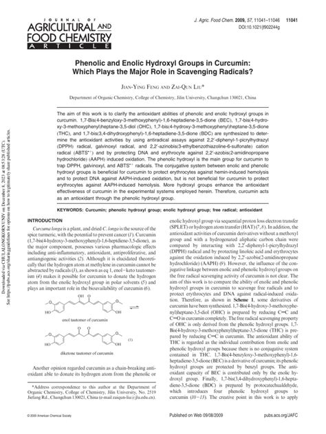 Feng Liu 2009 Phenolic And Enolic Hydroxyl Groups In Curcumin Which