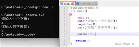 其它的输入输出方式getcharputchar和puts Csdn博客